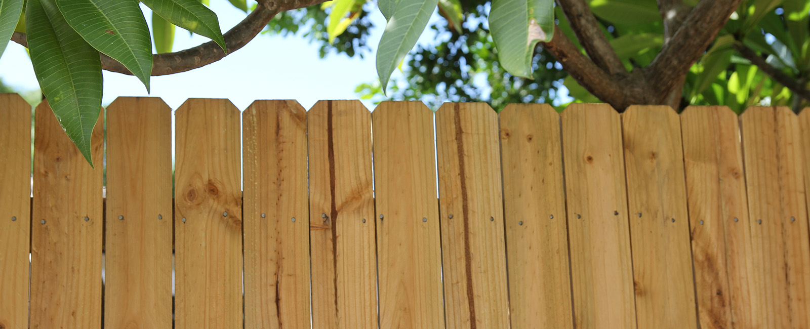Timber Paling - Camalot Fencing